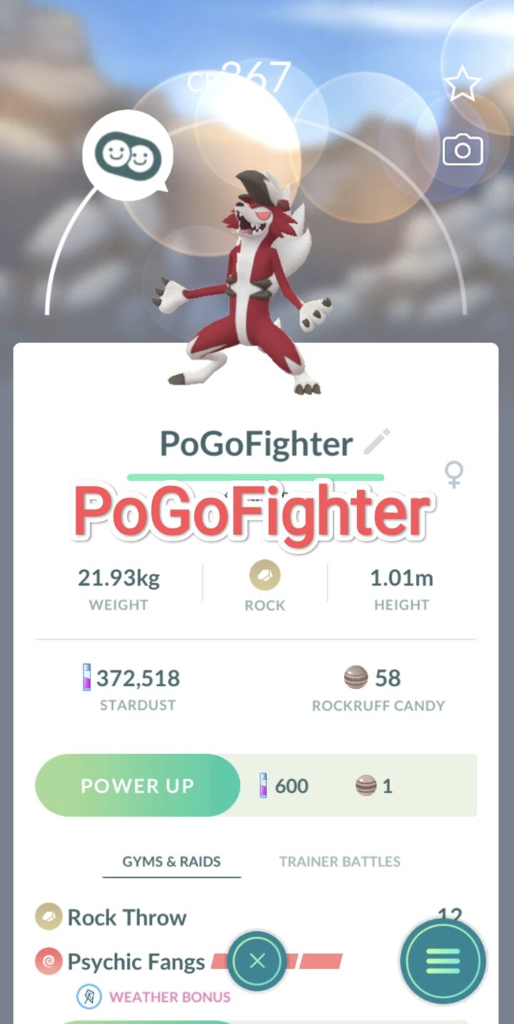 Pokémon GO Lycanroc – Can evolve Lycanroc (Dusk/Midday/Midnight Form ...