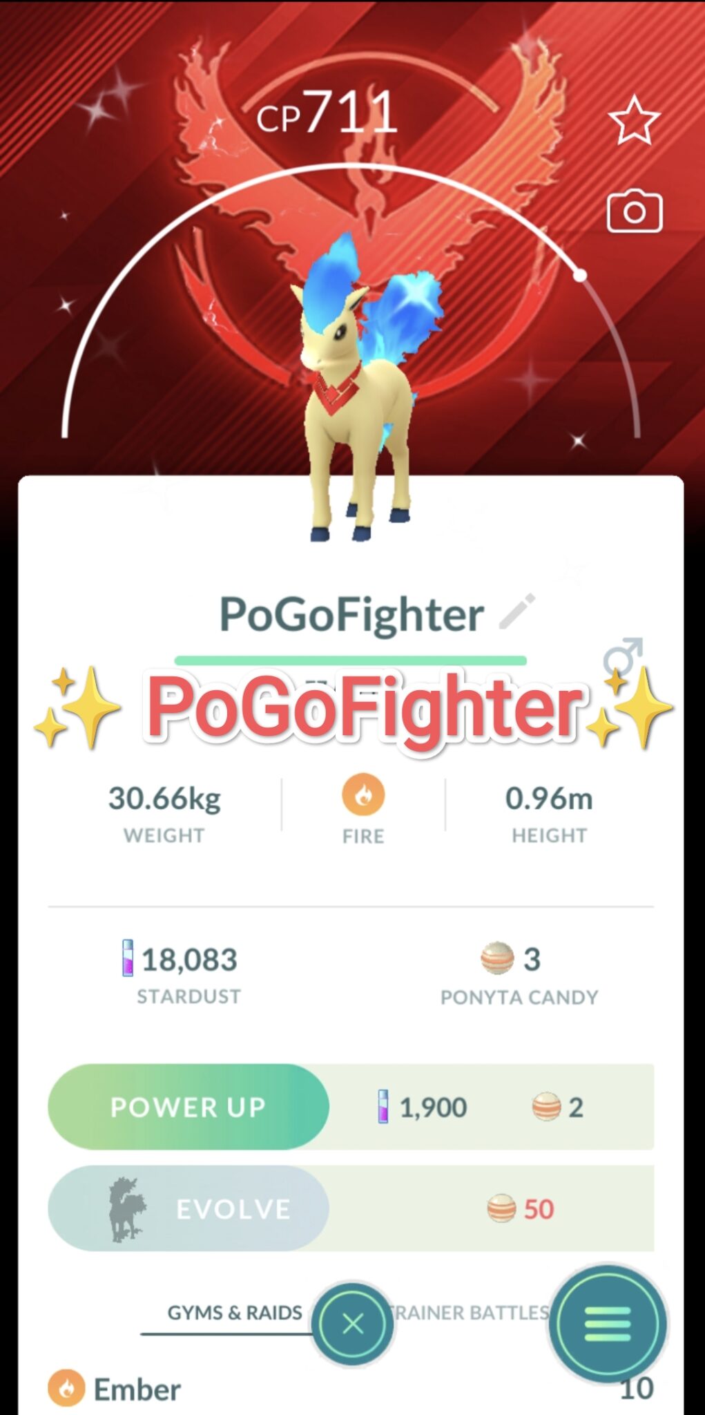 Pokémon GO Shiny Candela Accessory Ponyta Location Card Valor ...